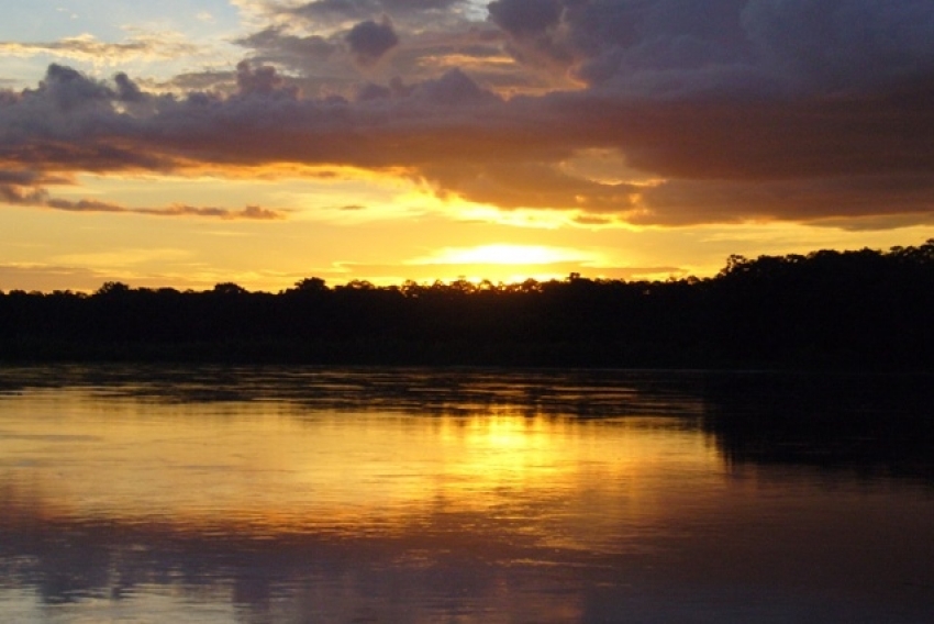 Life in the Amazon Rainforest - Viva Expeditions