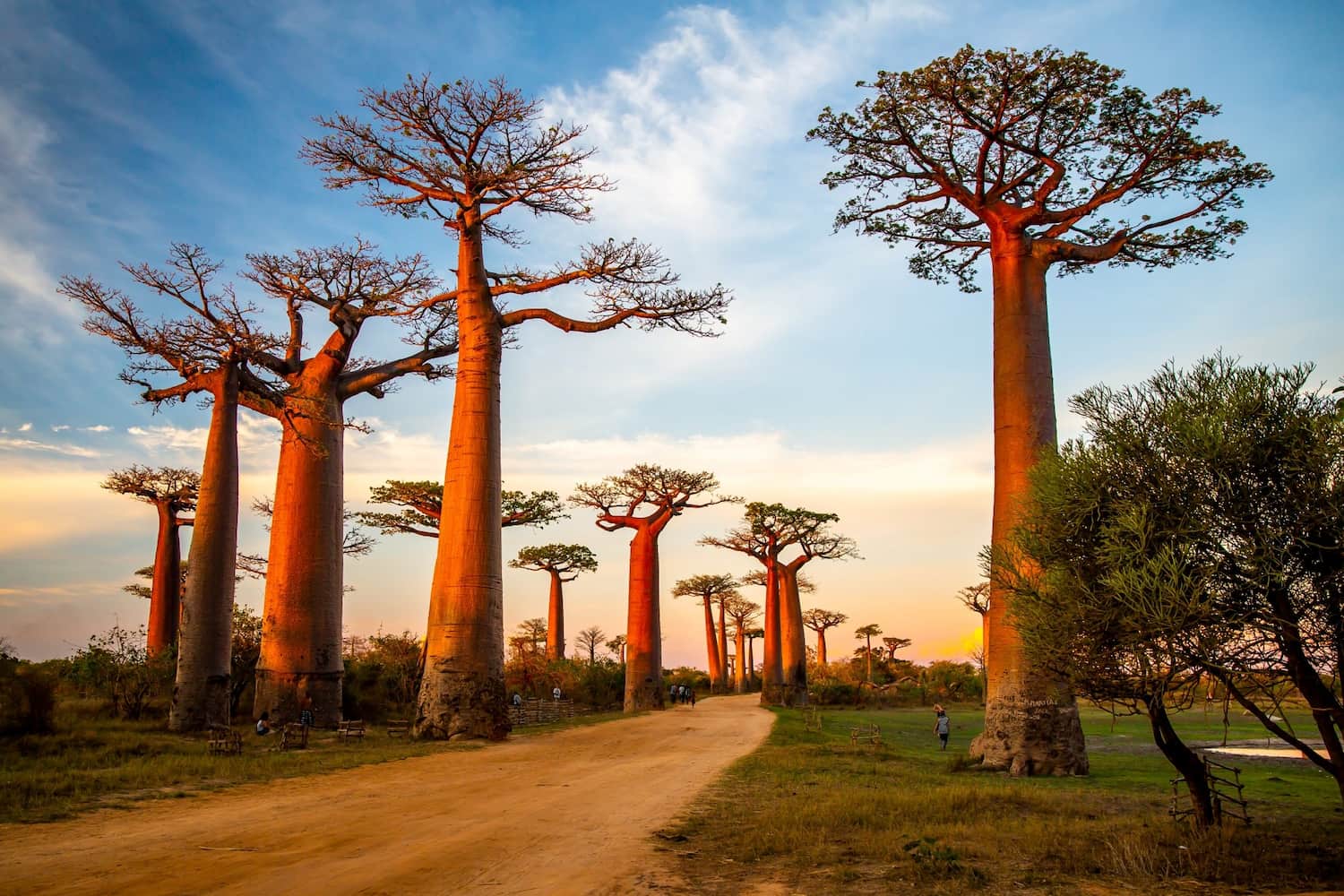 Is Madagascar Safe to Visit? | Viva Expeditions