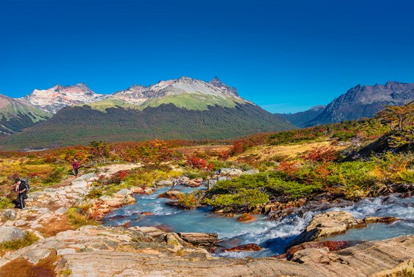The Ultimate Insider's Guide to Tierra Del Fuego